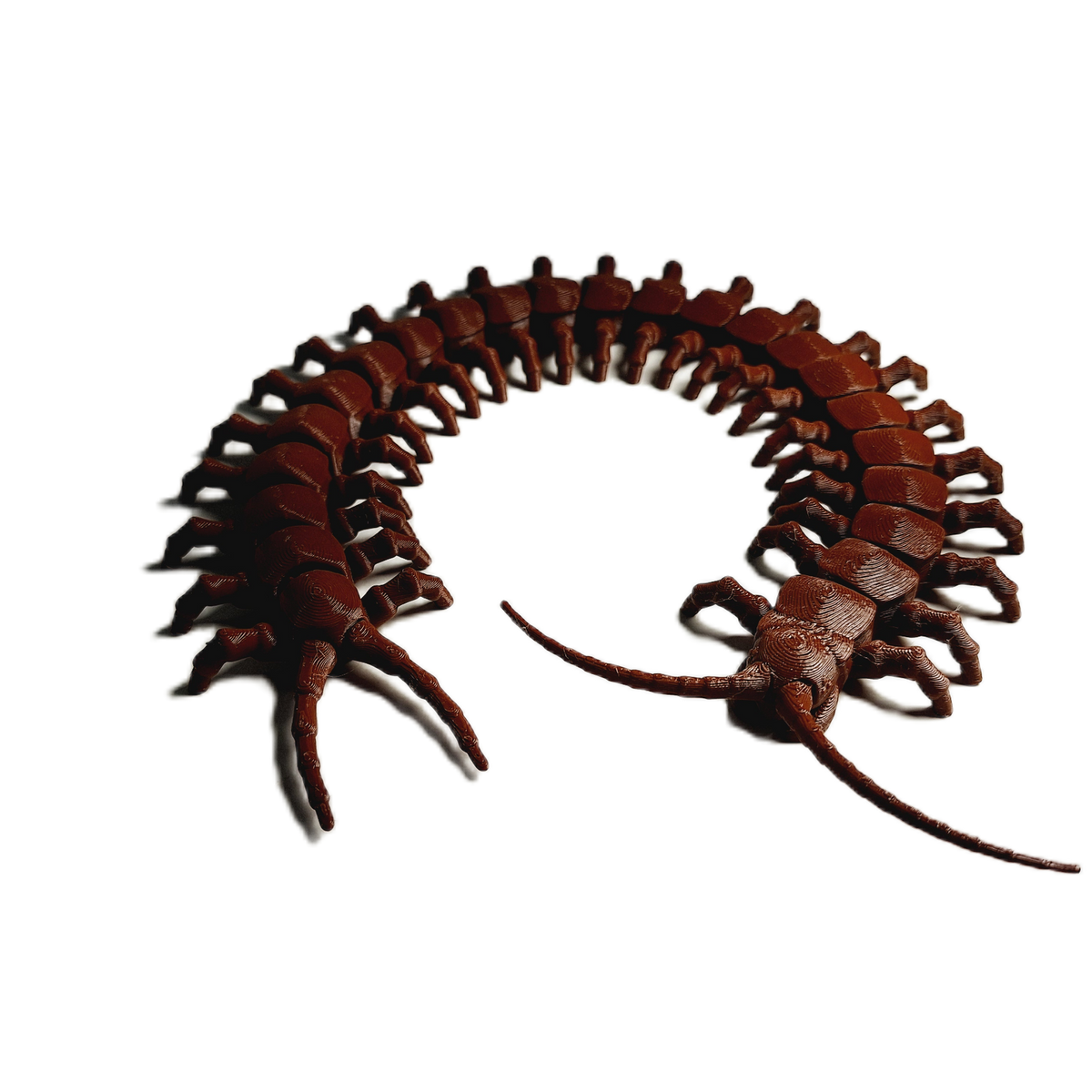 FlexiMech Diamondback Centipede Articulated 3d Printed Insect Toy ...